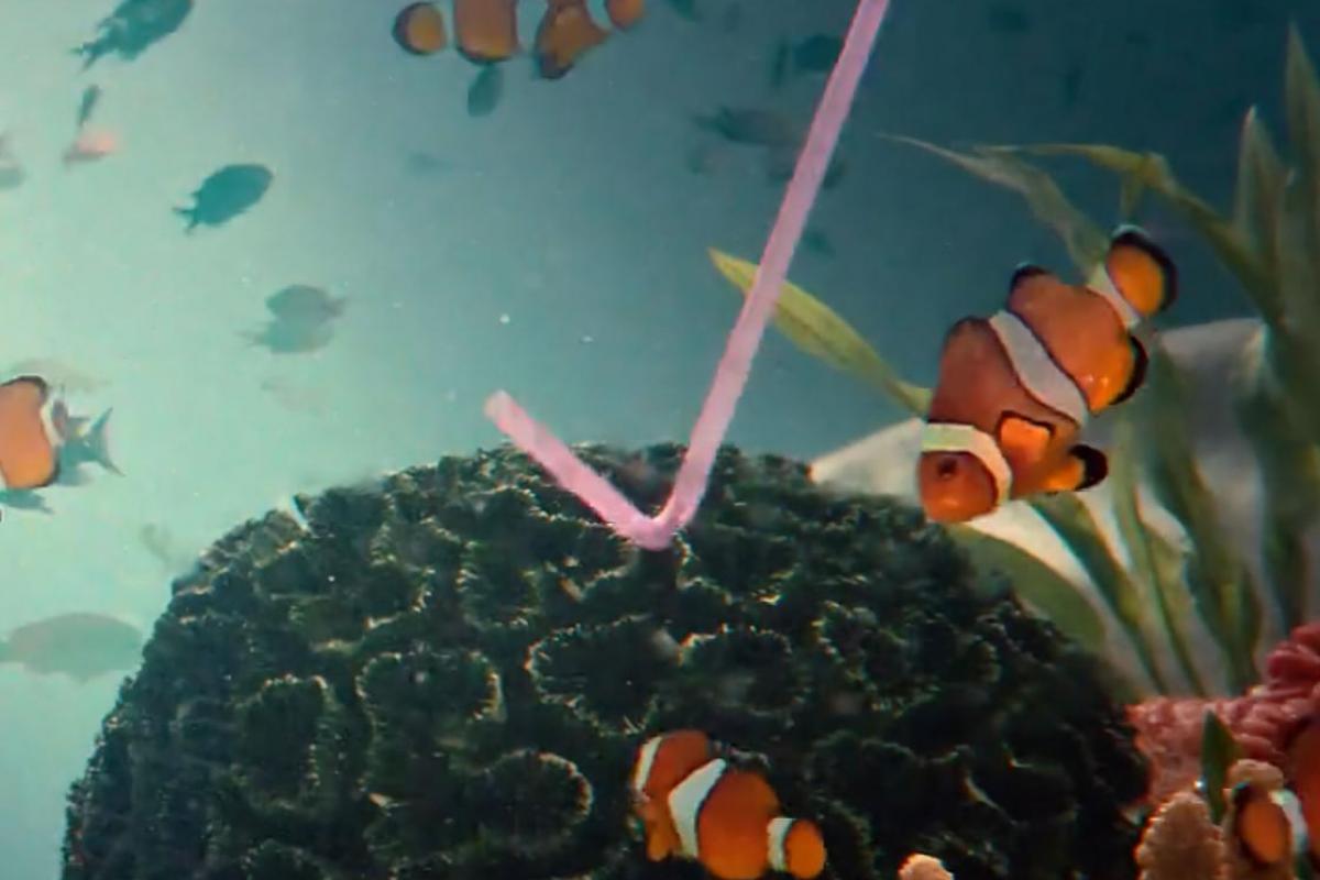 Heaven Fish - Regal Springs | Our Work | Ogilvy