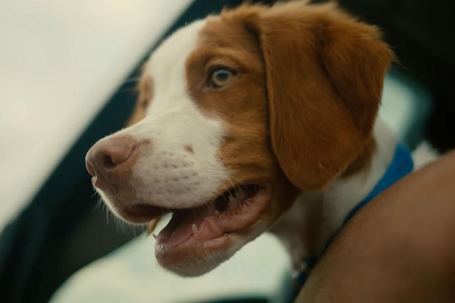 The First Farmers - Corteva | Our Work | Ogilvy