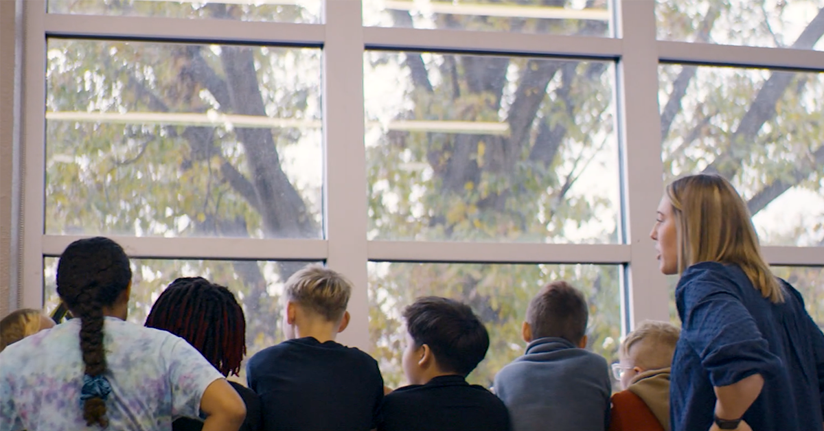 Windows of Opportunity - Windex | Our Work | Ogilvy