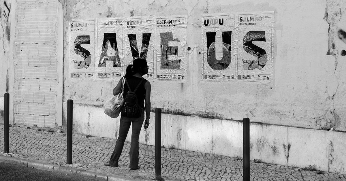 The Endangered Typeface - WWF Portugal & Lisbon Zoo | Our Work | Ogilvy